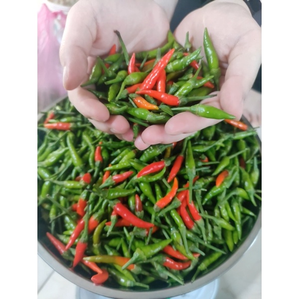 Cili Api Bara Segar Dari Ladang #Segar | Shopee Malaysia