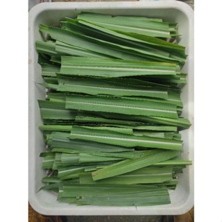 Rumput Napier Pandan/Dwarf fresh cut 800gram | Shopee Malaysia