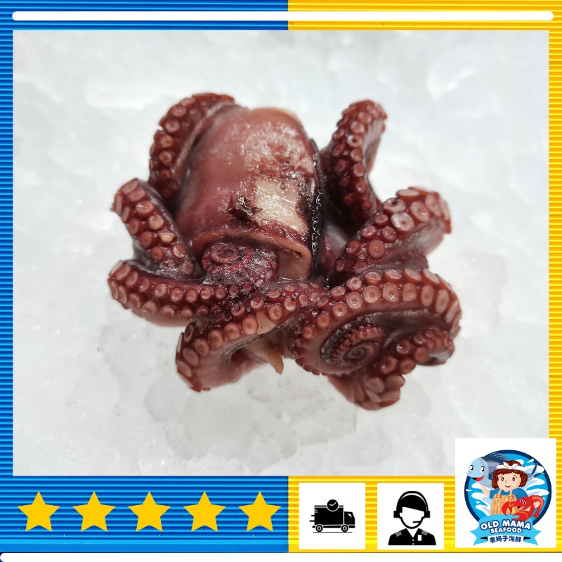 Japan Cooked Octopus (Small Tako) / 日本熟八爪鱼 (200-300gm/nos) Jepun Masak ...