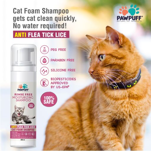 PAW PUFF, Online Shop | Shopee Malaysia