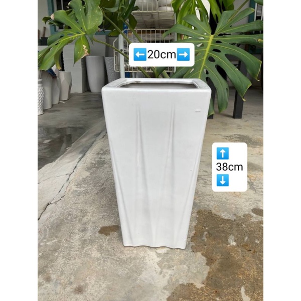 Ceramic pots / Pasu putih / Pasu Bunga/ Pasu pokok hiasan/real plants ...