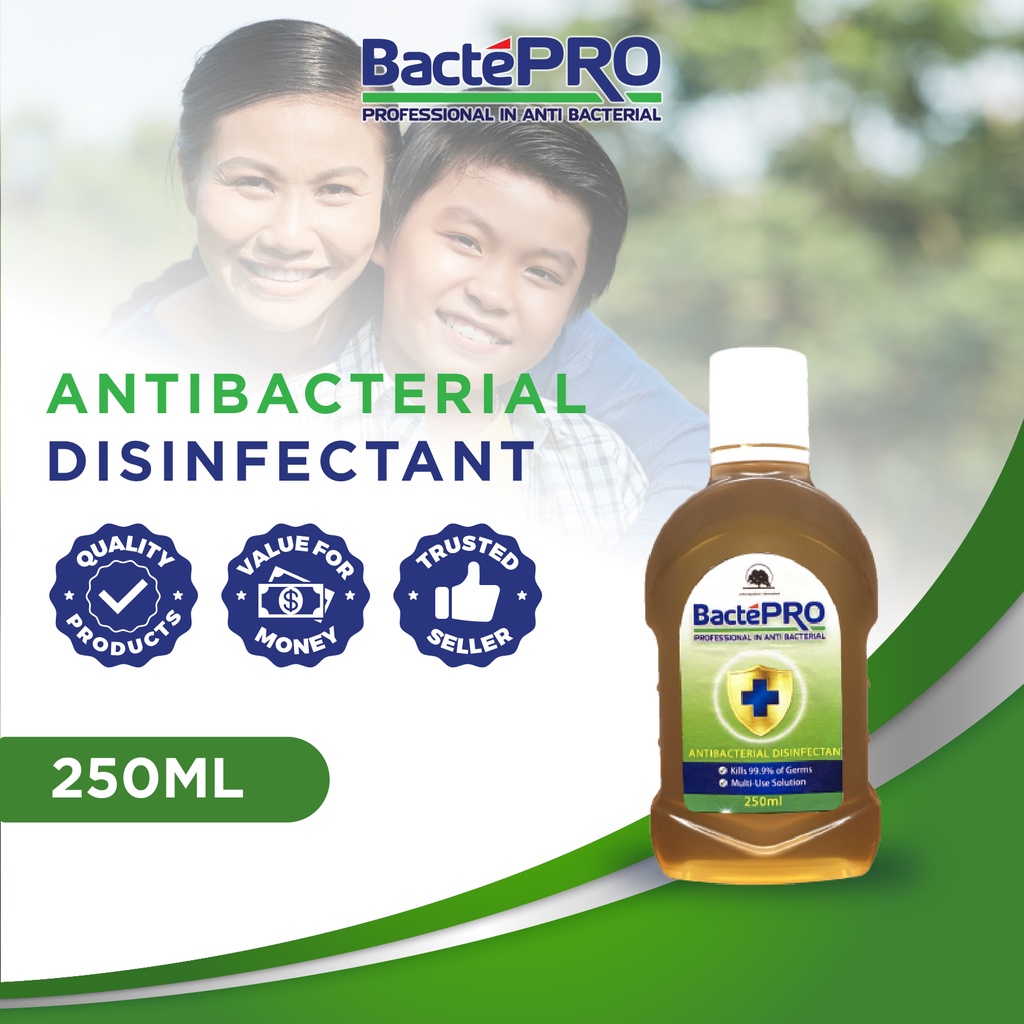 Bactepro Antibacterial Disinfectant 250ml House Cleaning Disinfectant ...