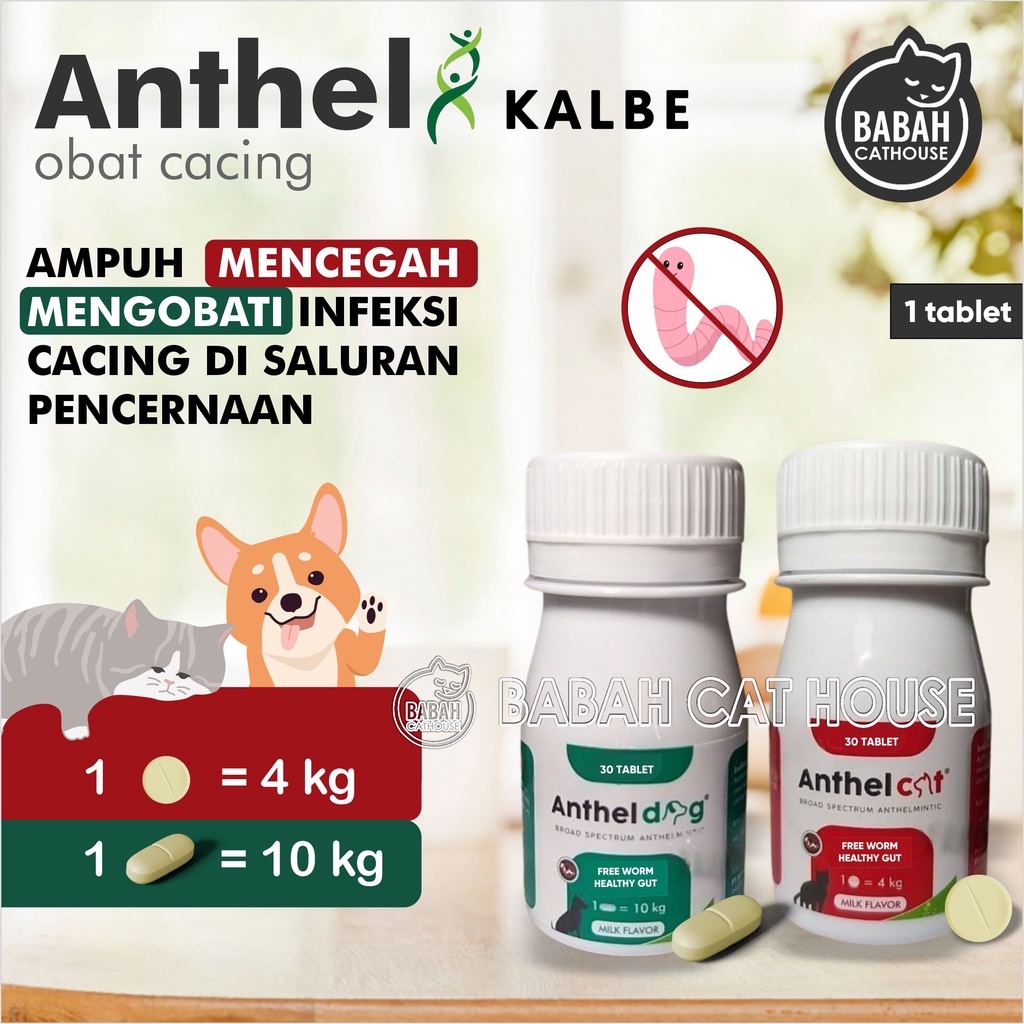 Anthel ANTHEL Worm Medicine Cat Dog Cat Dog Tablet Powerful For ...