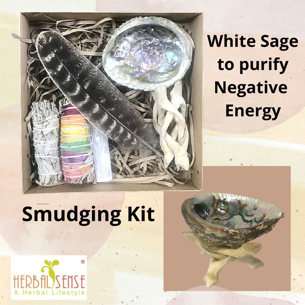 White Sage Smudging kits, Abalone Sea Shell, Turkey Feather, Selenite ...