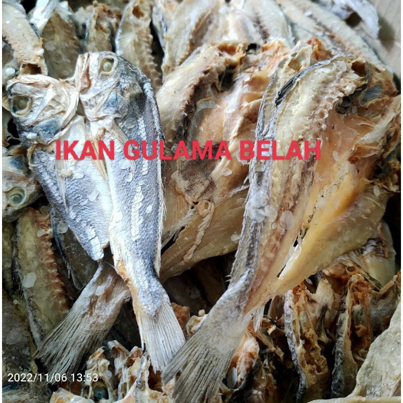 IKAN MASIN GULAMA BELAH | Shopee Malaysia