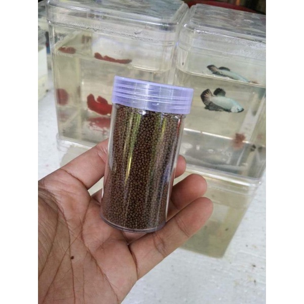 Pellet for Betta Fish / Makanan Ikan Laga | Shopee Malaysia