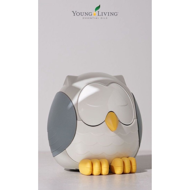 ORIGINAL Feather the Owl diffuser (without EO) | Shopee Malaysia
