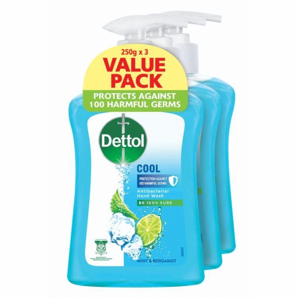 Dettol Hand Wash 250g x 3 - Cool (Value Pack) | Shopee Malaysia