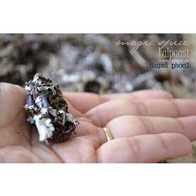 Stone flower - kalpasi - Dagad Phool - 500G | Shopee Malaysia