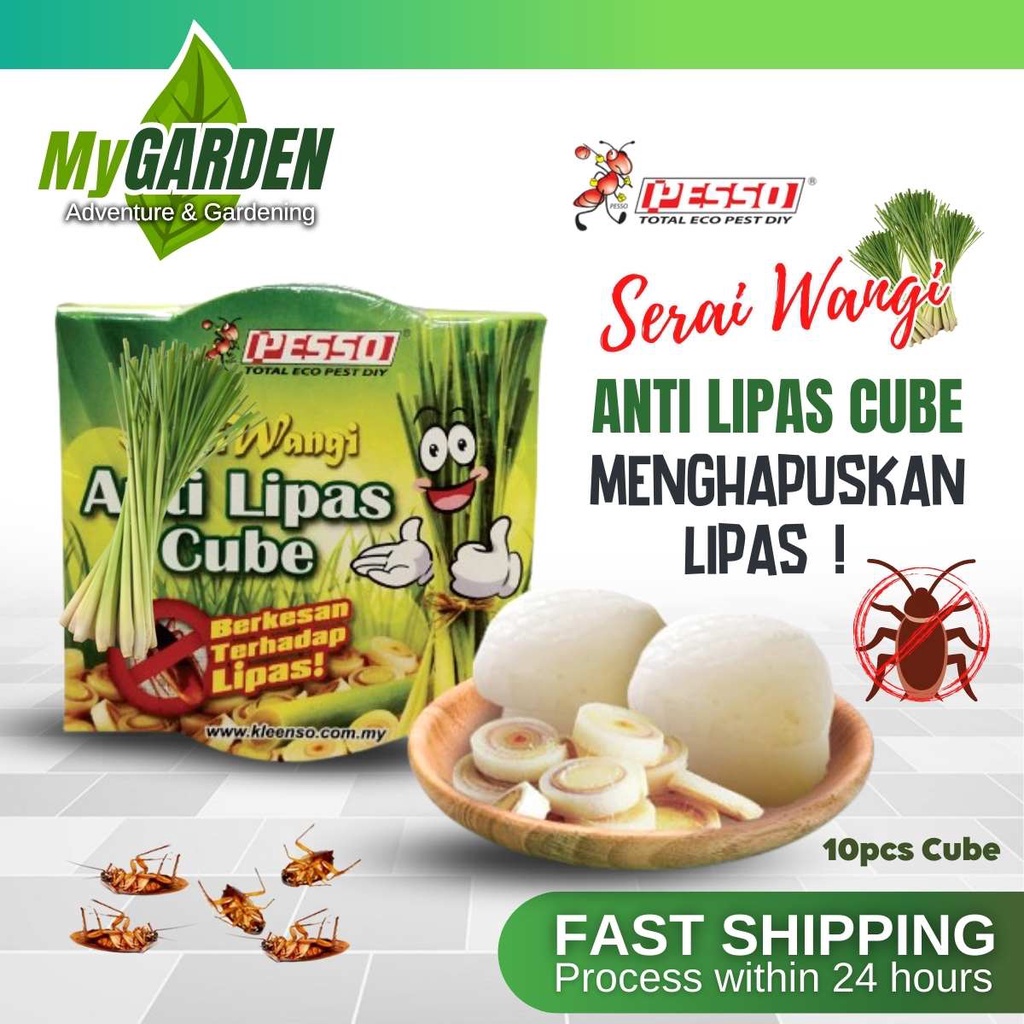 Pesso Serai Wangi Anti Lipas Cockroach Cube Natural Lemongrass 10Pieces Cube Ubat Lipas Tiada ...