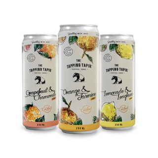 The Tapping Tapir Light Carbonated Soda Real Fruit Juice Drink Less ...