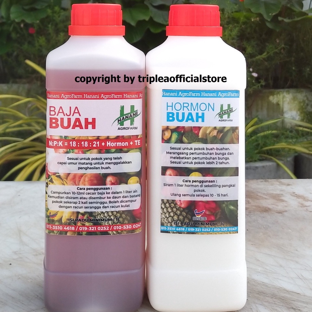 baja buah dan hormon penggalak untuk sawit, pisang, kelapa, padi dan ...