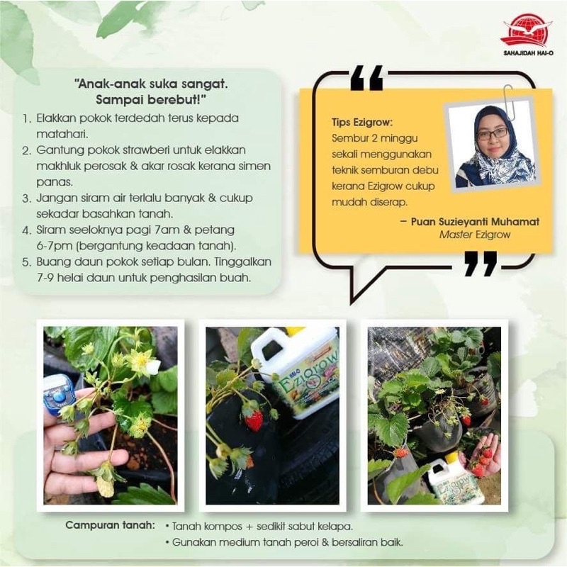 Baja EZI GROW BAJA ORGANIK Baja air pati kena bancuh ikut sukatan untuk ...
