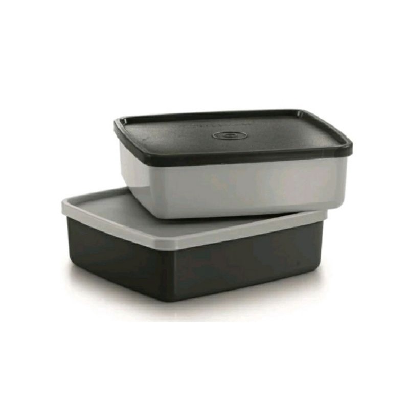 Tupperware Large Square Away 620ml 2pcs | Shopee Malaysia