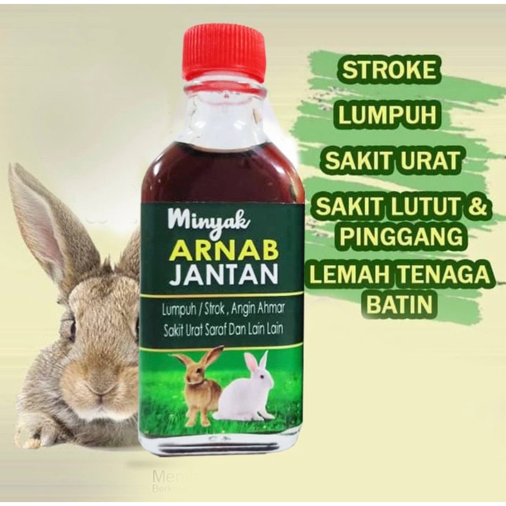 MINYAK ARNAB JANTAN 30ML UTK LUMPUH STROK ANGIN AHMAR SAKIT URAT SARAF | Shopee Malaysia