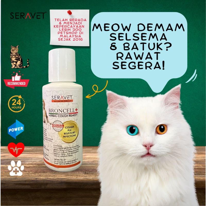 [KHAS KUCING] Batuk, Selsema, Demam, Kahak, Cegah Kompilasi paru-paru ...