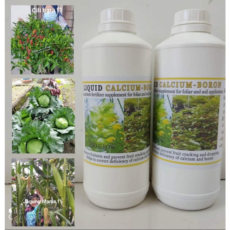 1 LITER LIQUID CALCIUM BORON FOLIAR SPRAY FERTILIZER. | Shopee Malaysia