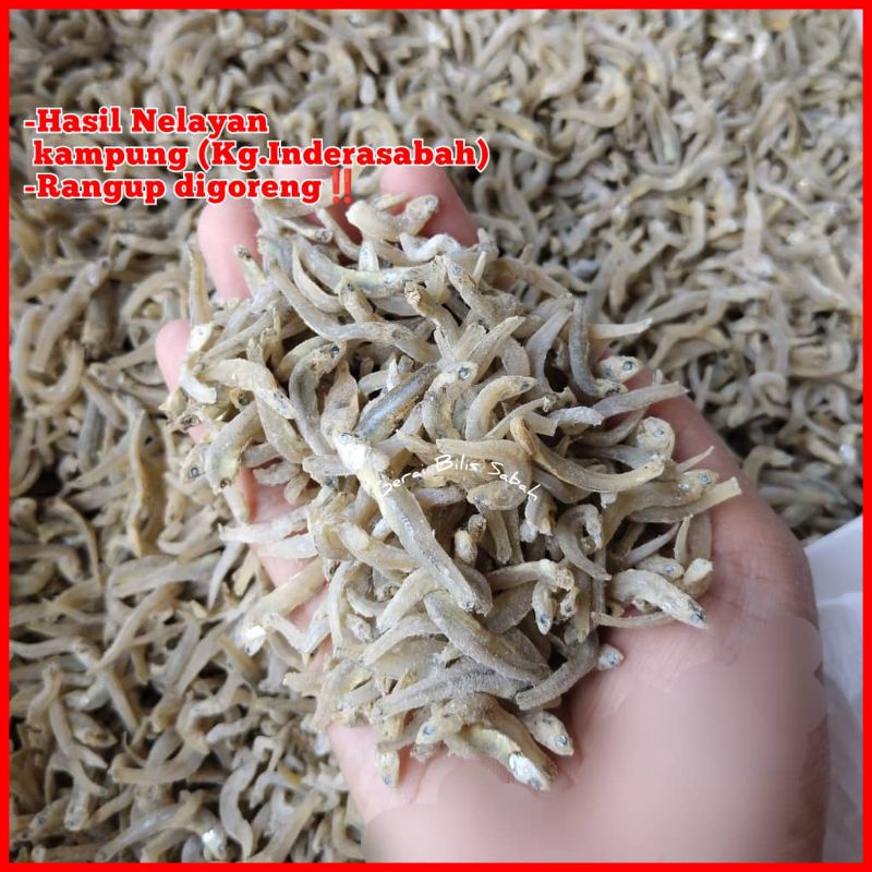 (500g/1KG) Ikan Bilis Matabiru Gred 2 /Bilis nasi lemak Tawau Sabah ...