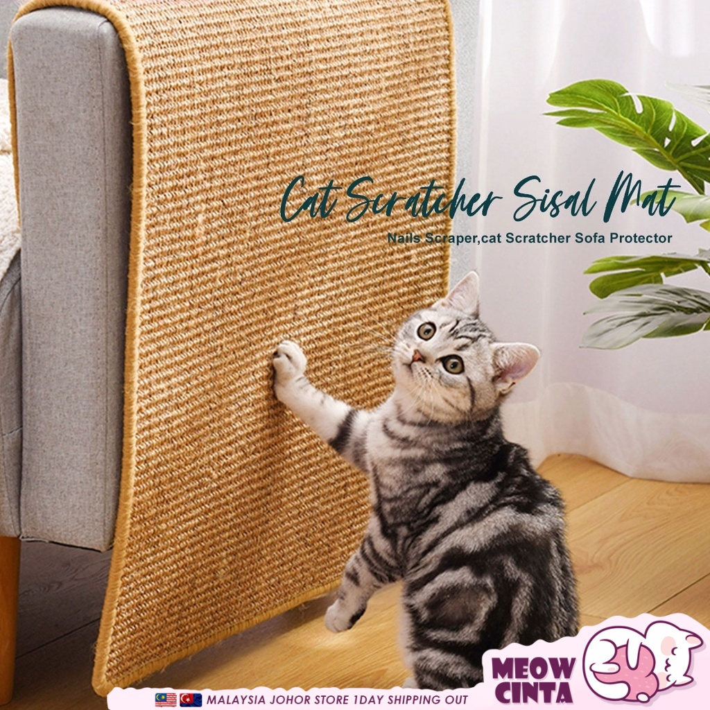MeowCinta Mat Mencalar Kucing Cat Mencakar Kucing Cat Mencakar Kucing ...