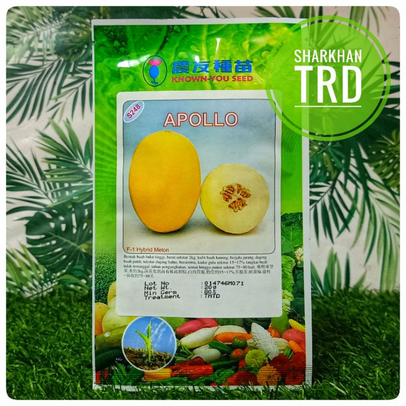 Paket 20g APOLLO S258 Known-You Seed Biji Benih Melon Madu Kuning F1 ...