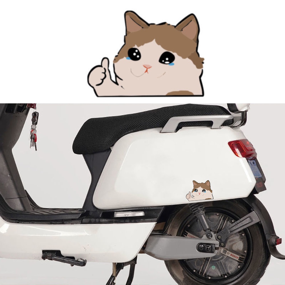 Touched Cat Praised Cat Encouraged Cat Cry Cat Reflective Motorcycle ...