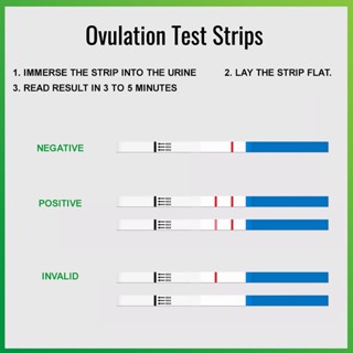 PREGNANCY TEST/UPT URINE PREGNANCY TEST/LH OVULATION TEST/OPK/TEST ...