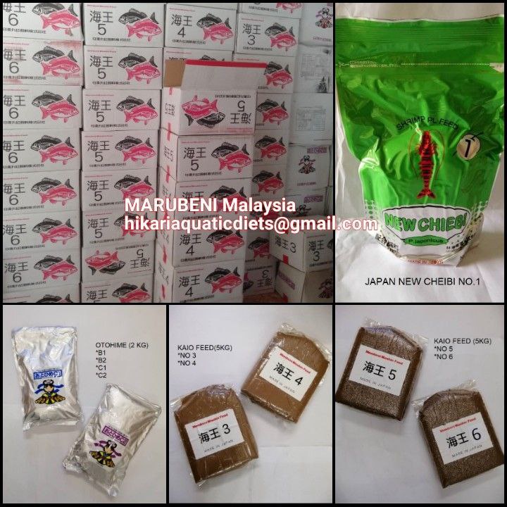 MARUBENI NO 3 / 4 / 5 / 6 (KAIO), OTOHIME S1 / S2 / C1 / C2 , MAKANAN ...