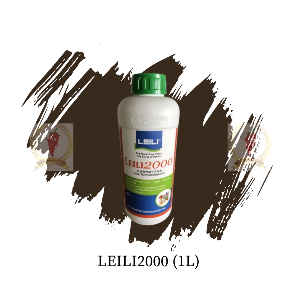 LEILI 2000 1L Seaweed foliar Fertilizer Foliar Baja Durian Cili ...
