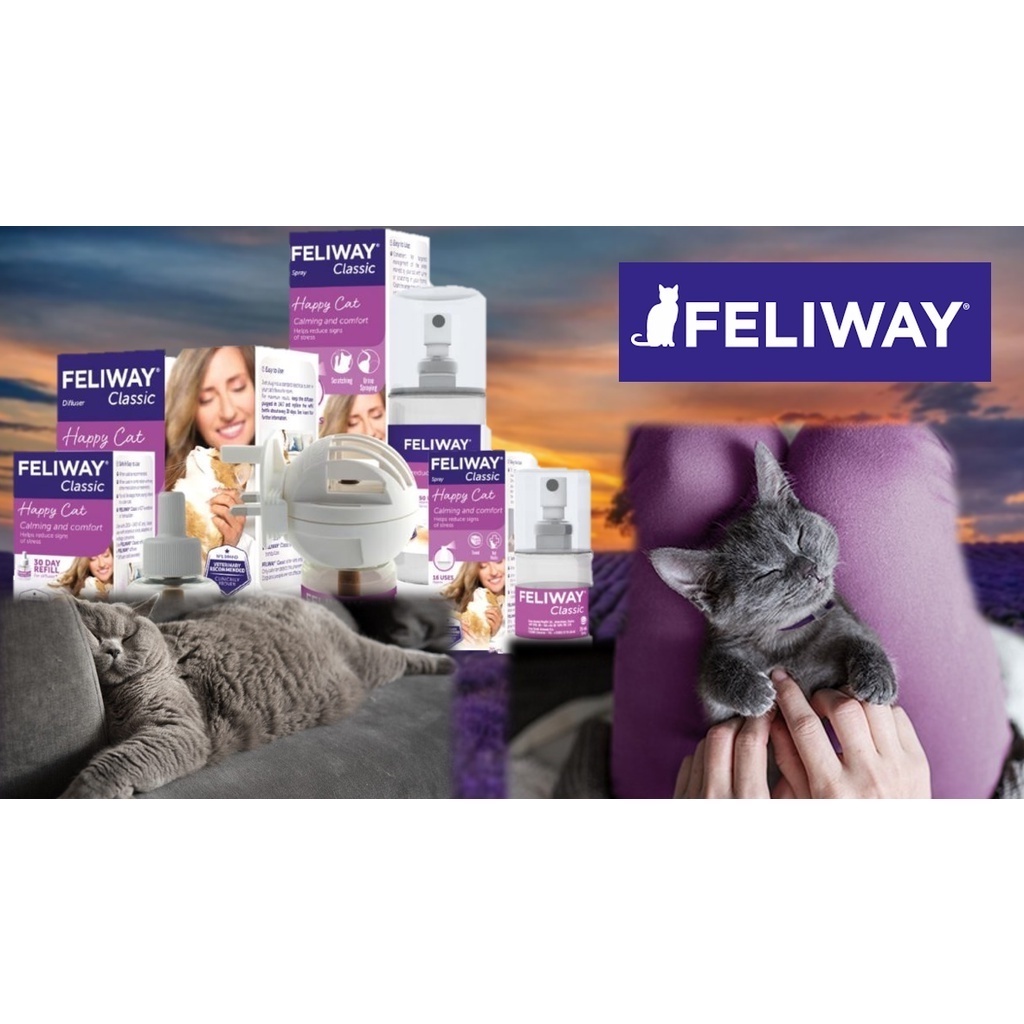 Feliway 30 Day Starter Kit Plug-In Diffuser & Refill 48ml (100% ...