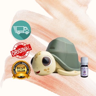 Young Livings Ultrasonic Shelly The Turtle Kids Diffuser + Wild ...