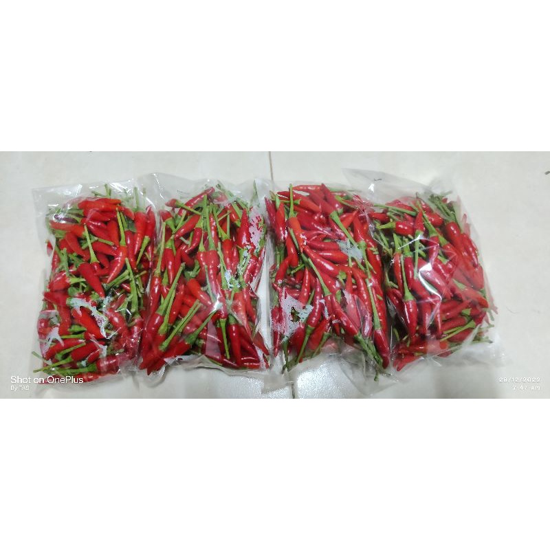 Cili Bara / Cili Kampung / Lada Burung | Shopee Malaysia