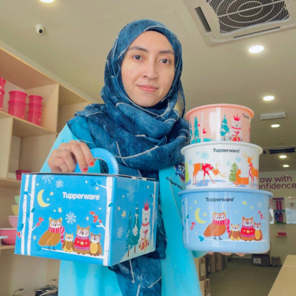 Tupperware Winter Wonder Collection Set 3pcs One Touch OT Container ...