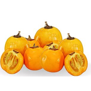 TERUNG SARAWAK /TERUNG DAYAK BIJI BENIH seeds | Shopee Malaysia