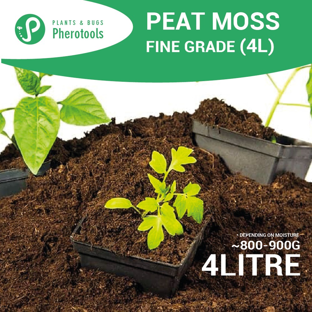 Pherotools PREMIUM PEAT MOSS (1L/4L )Fine Grade Tanah Semaian/Medium ...