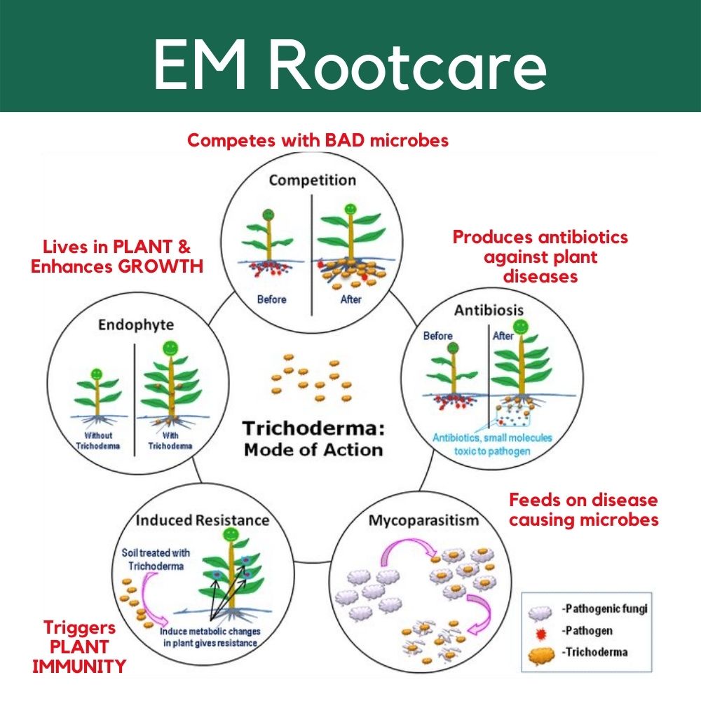Pherotools Em Rootcare 100g 1kg Trichoderma Bacillus Bio Fungicide