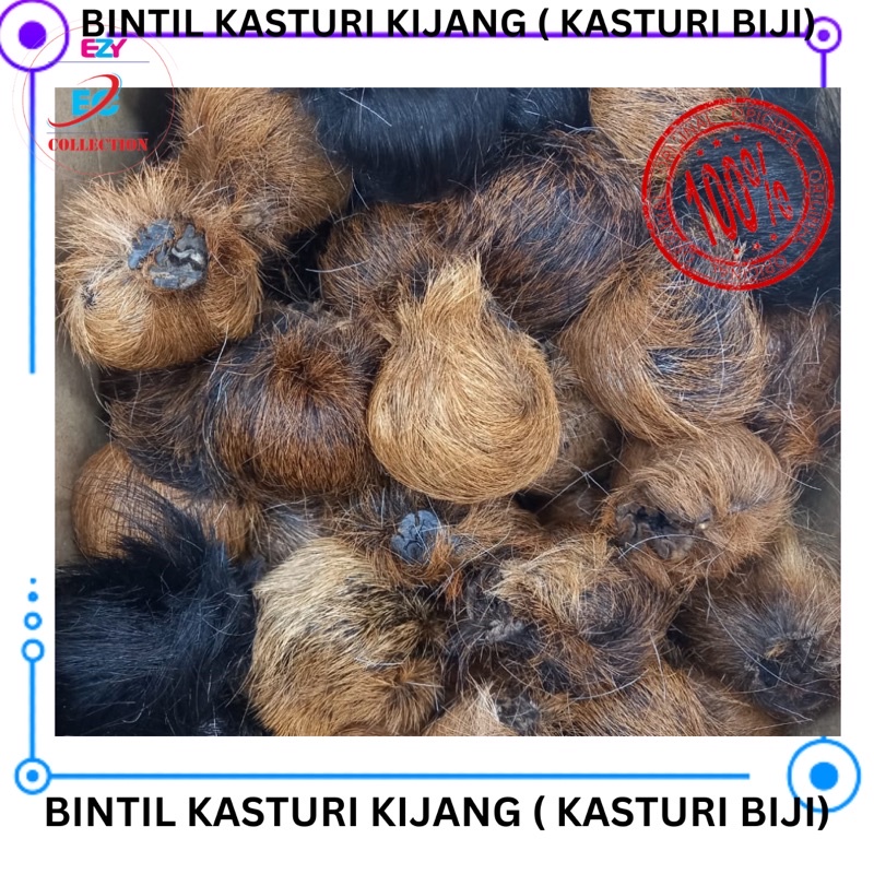 BINTIL KASTURI KIJANG ( KASTURI BIJI) | Shopee Malaysia