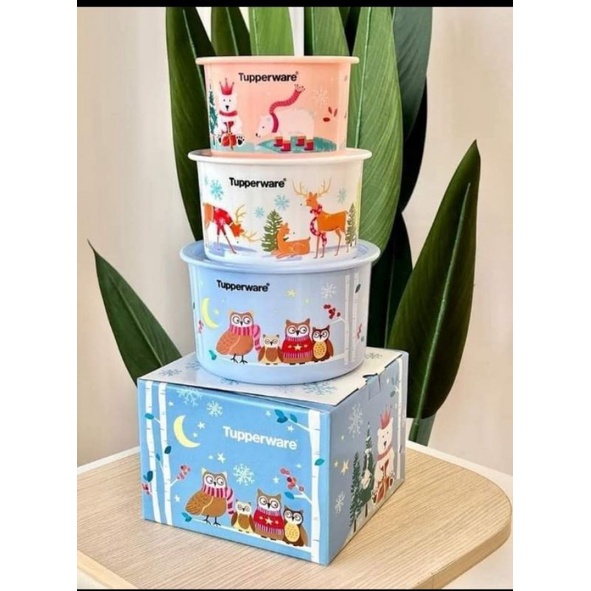 Tupperware Winter Wonders Collection Set | Shopee Malaysia