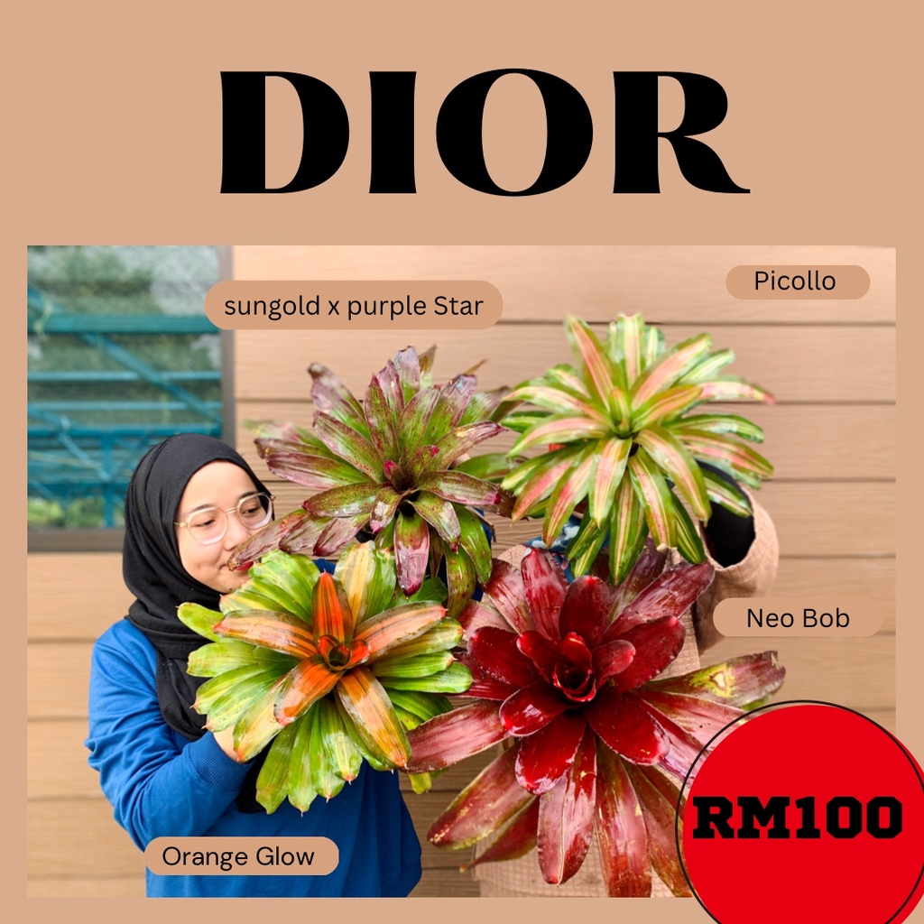 SET DIOR [SILA BACA TERMA DAN SYARAT SEBELUM MEMBUAT PEMBAYARAN ...