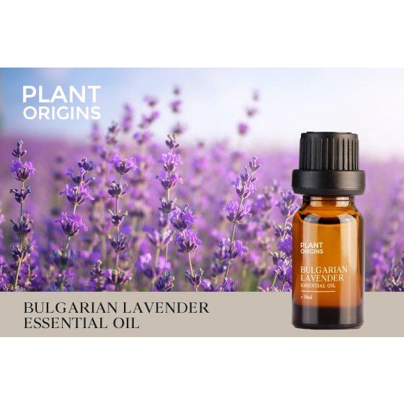 Plant Origins Bulgarian Lavender Essential Oil (10ml) | Shopee Malaysia