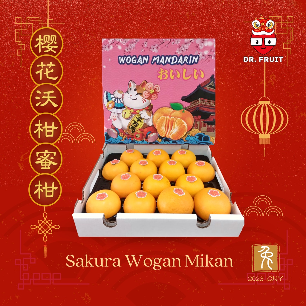 Sakura Wogan Mikan 樱花沃柑蜜柑 14’S - 1ctn | Dr.fruit /wokan | Shopee Malaysia