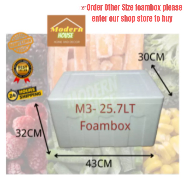 Modernhouse ] M3 Foam Box Polystrene Box Polyfoam Courier Ice box kotak ...