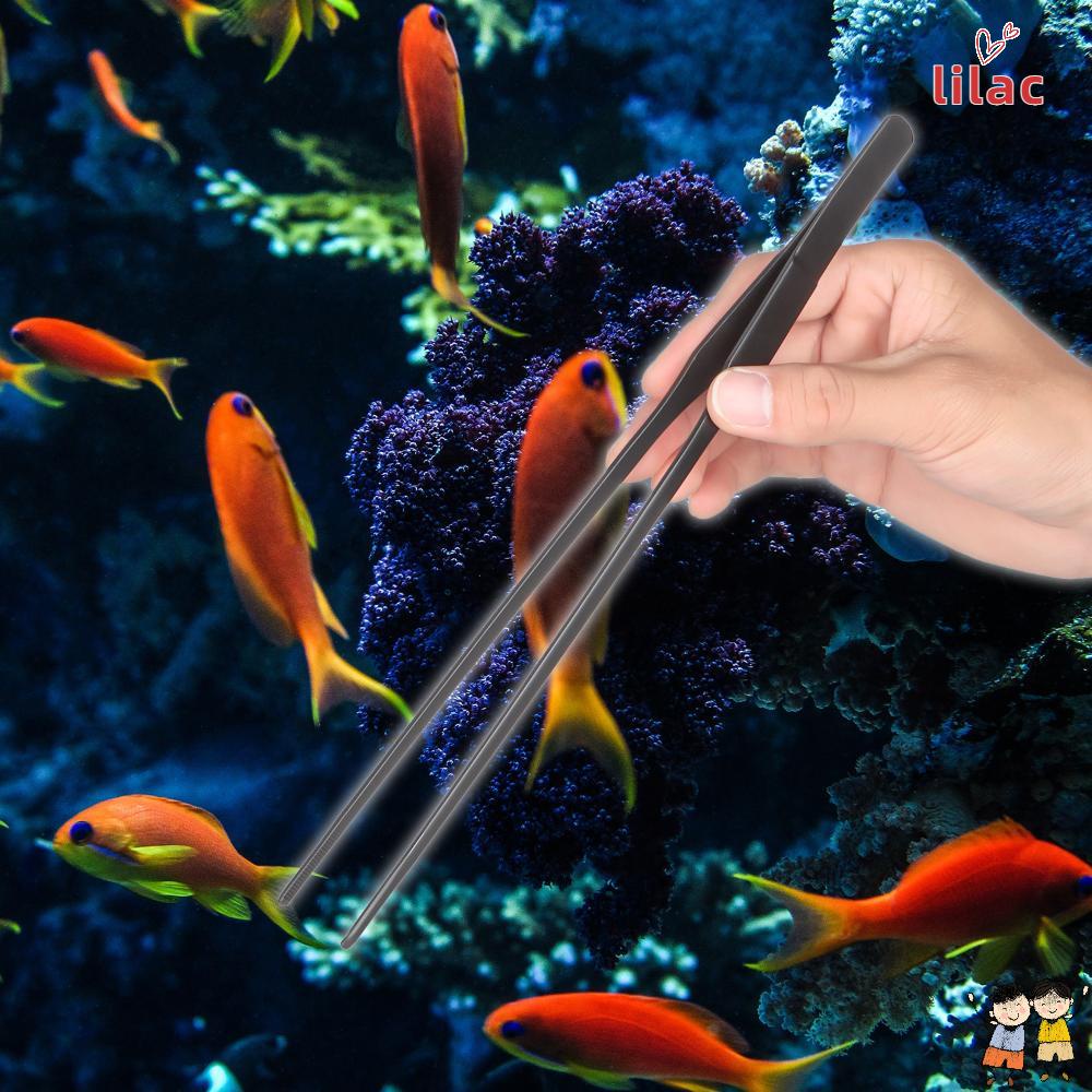 LAC Coral Spot Feeder Marine Fish Straight and Curved Stainless Steel ...