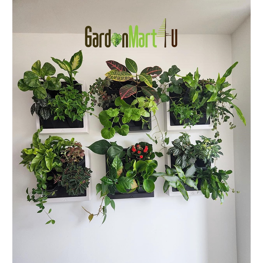GM4U Self Watering Pot Holder Vertical Garden Planter Wall Hanging ...