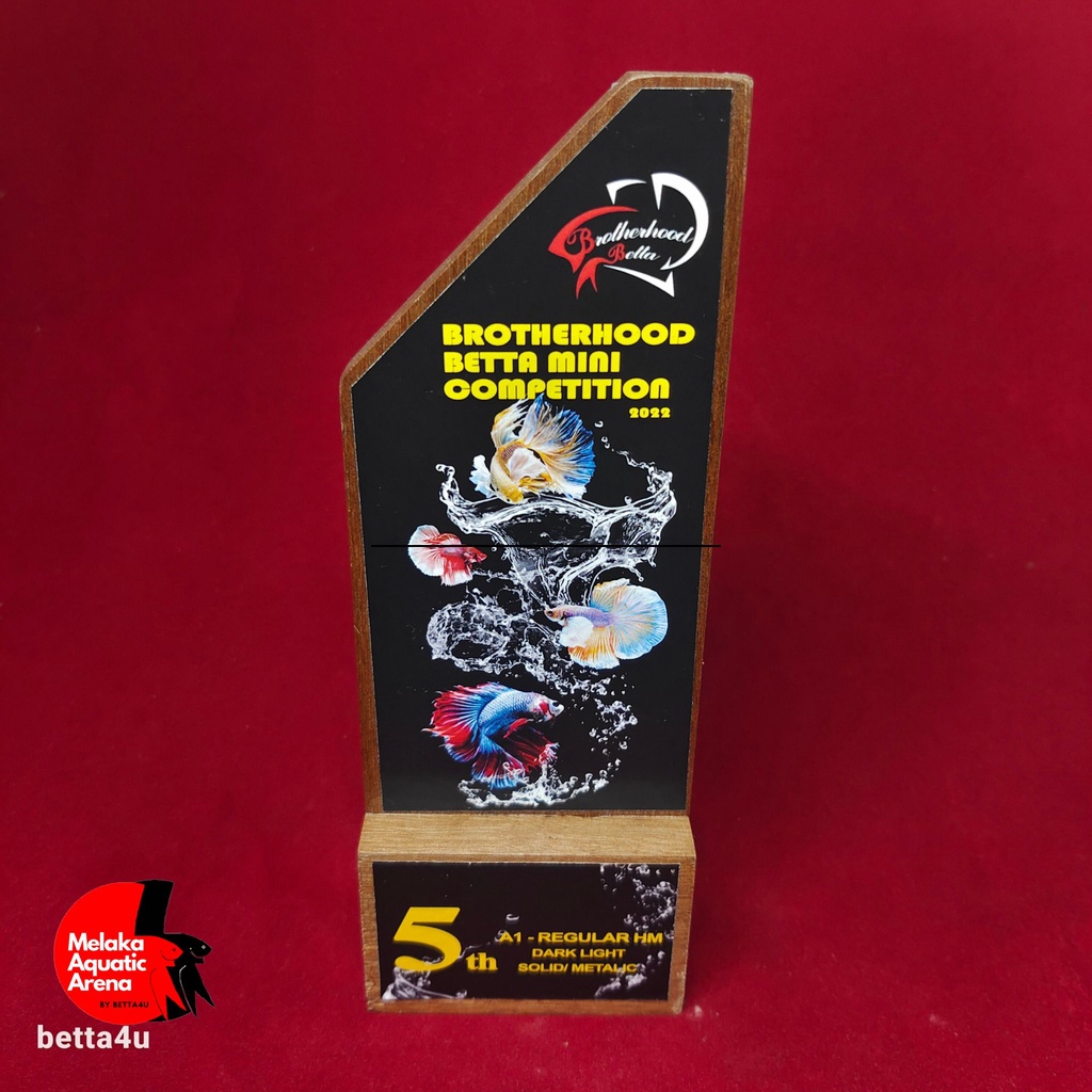 Winning Collection Wood Trophy/ Betta fish show trophy/ Trofi ...