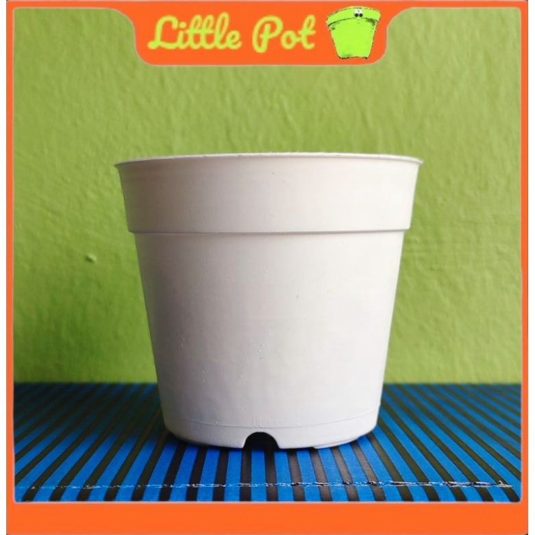 Little.Pot, Online Shop | Shopee Malaysia