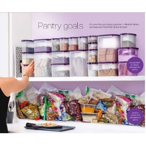 LELONG!!....Tupperware Modularmate - 1 pc | Shopee Malaysia