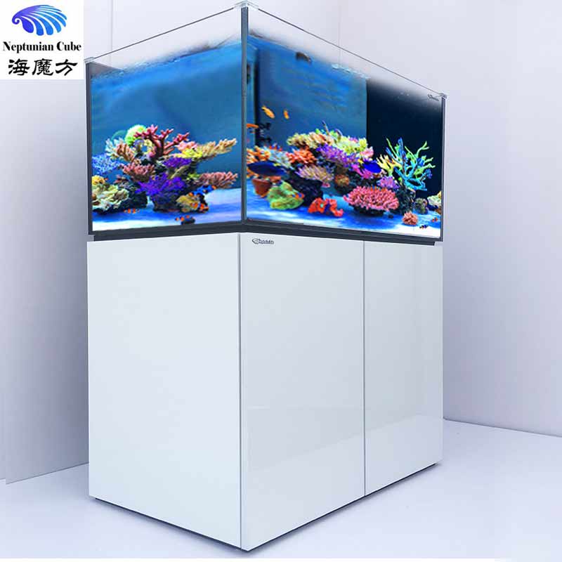 NEPTUNIAN CUBE M series aquarium for saltwater coral and fish tank PRE ...