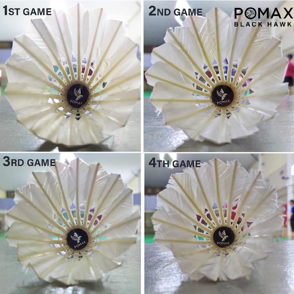 Pomax Black Hawk Badminton Shuttlecock (Durable Shuttle) | Shopee Malaysia