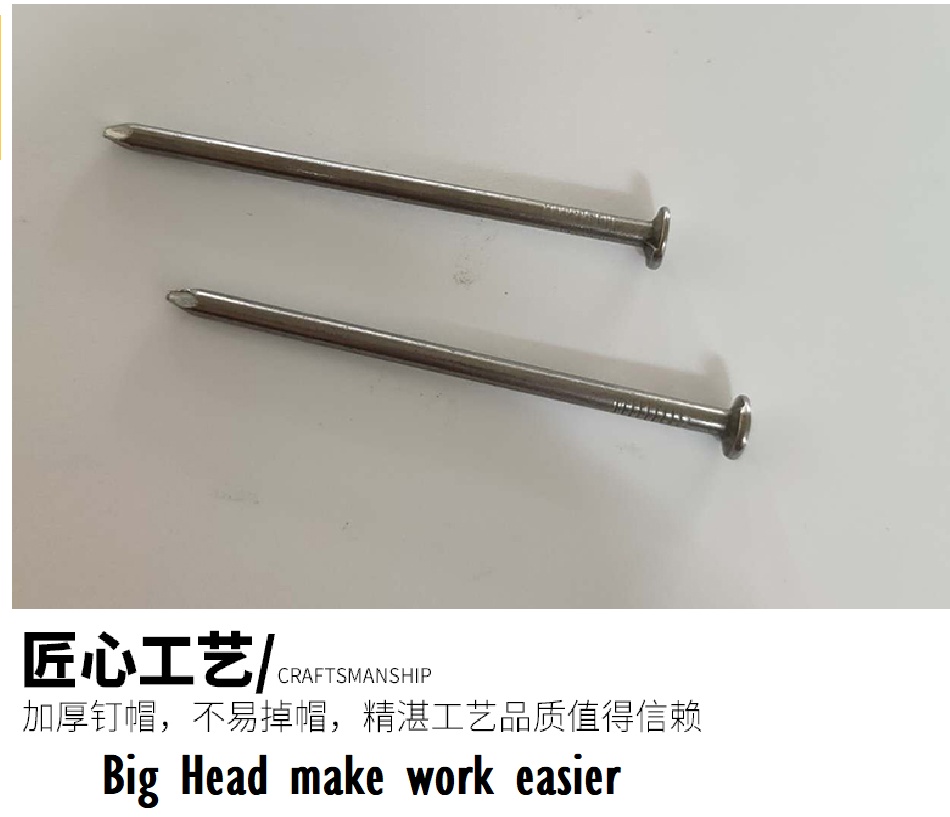 Wire Nail Paku Kayu Wood Iron Nail Paku Papan Kayu Paku Ceiling ...